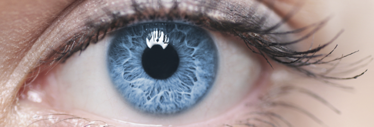 Cornée de l'Oeil, membrane transparente bombée