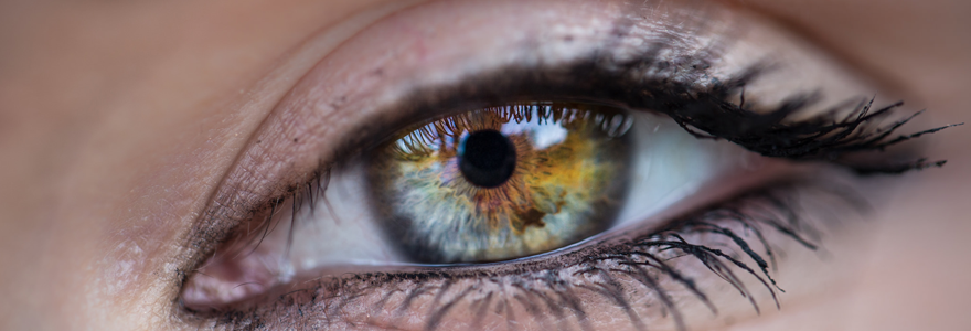 Pupille de l’oeil : faîtes entrer la lumière